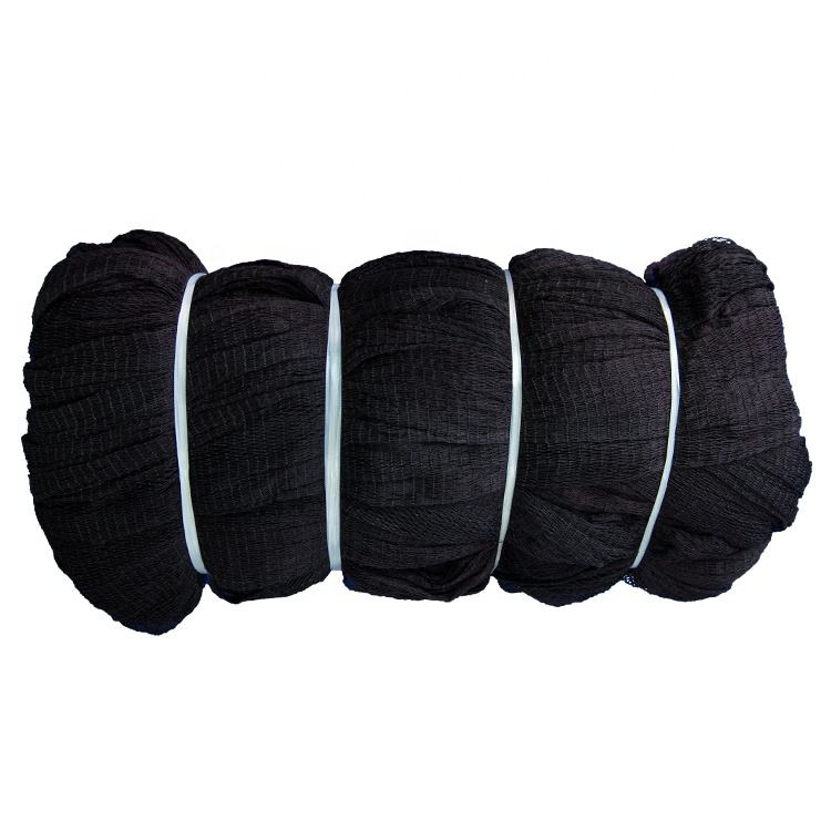 How to Choose the Best Fish for Fishing: A Complete Buyer's Guide