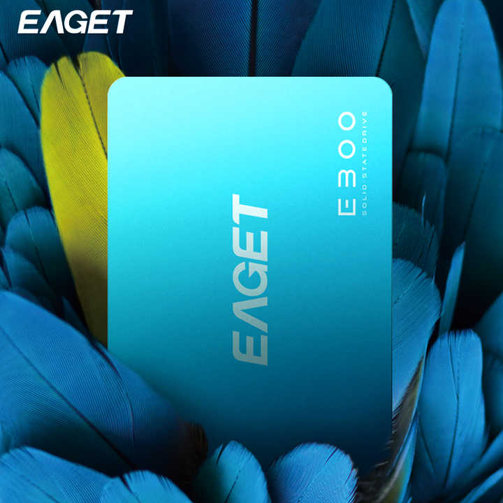 Eaget ssd e300 120gb 240 gb 480gb 960gb, disco rígido interno de estado ...