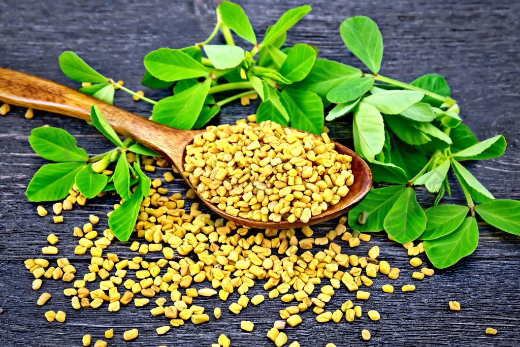 Fenugreek Extract Powder - China Fenugreek Extract Powder Manufacturers ...