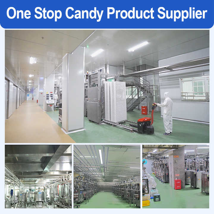 Holeywood 500g Liquid Center Chenpi Flavored Carrageenan Gummy Candy