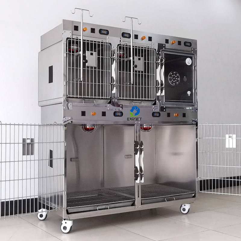 How to Choose the Best Veterinary Cage: A Complete Buying Guide