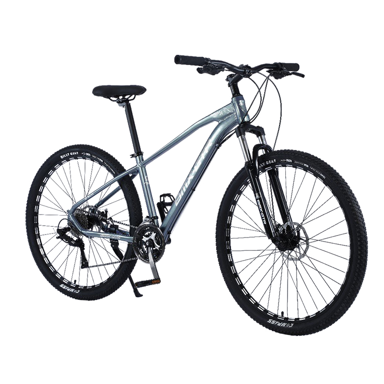 Shop Phillips Bicycles - Quality Mountain Bike Options