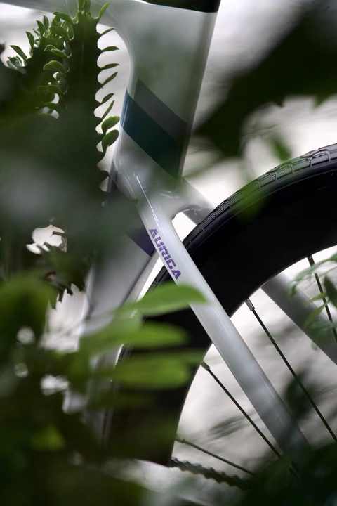 2025 AURIGA 700C Aluminum Alloy Racing Bike with Hydraulic Brakes