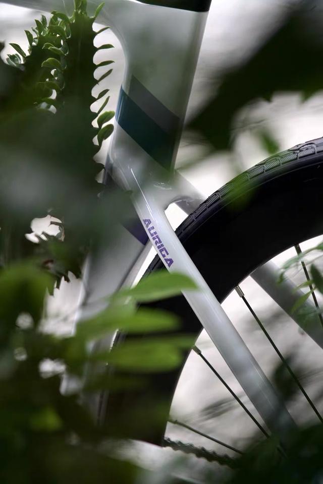 2025 Java AURIGA Road Bike - Lightweight & Versatile Racing Bike