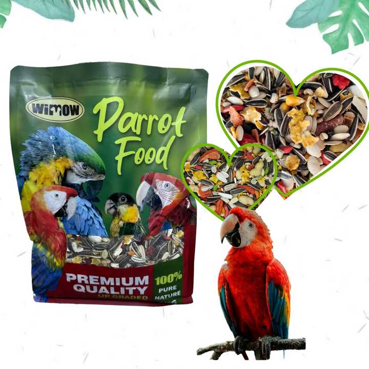 Wholesale Healthy Parrot Food - Mix Fruit Seeds & Peanuts