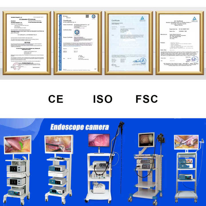 UHD 4K Endoscopy Camera System - ESS-008 for General Surgery
