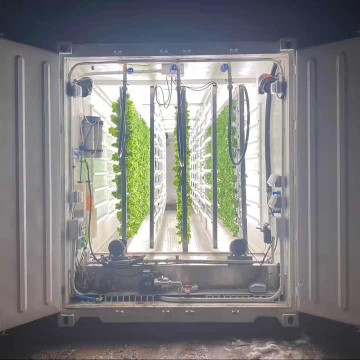 Automated Strawberry Vertical Farming - Hydroponic Container