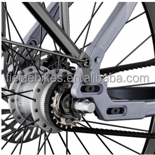 Bafang G300A RG A310.D 3 Speed Auto-Shift Gear Hub for Mid Motor Kits ...