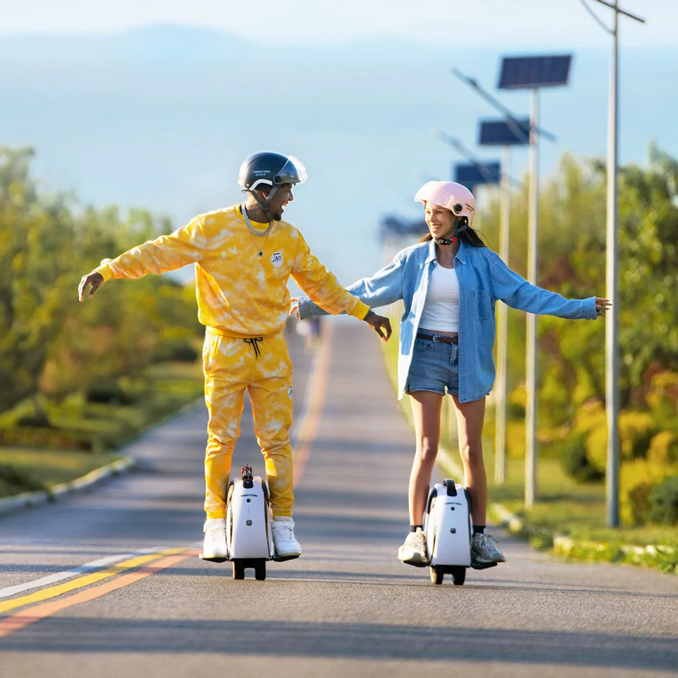 INMOTION E20-Lite Electric Unicycle 20Km/h 450W Self Balancing Single ...