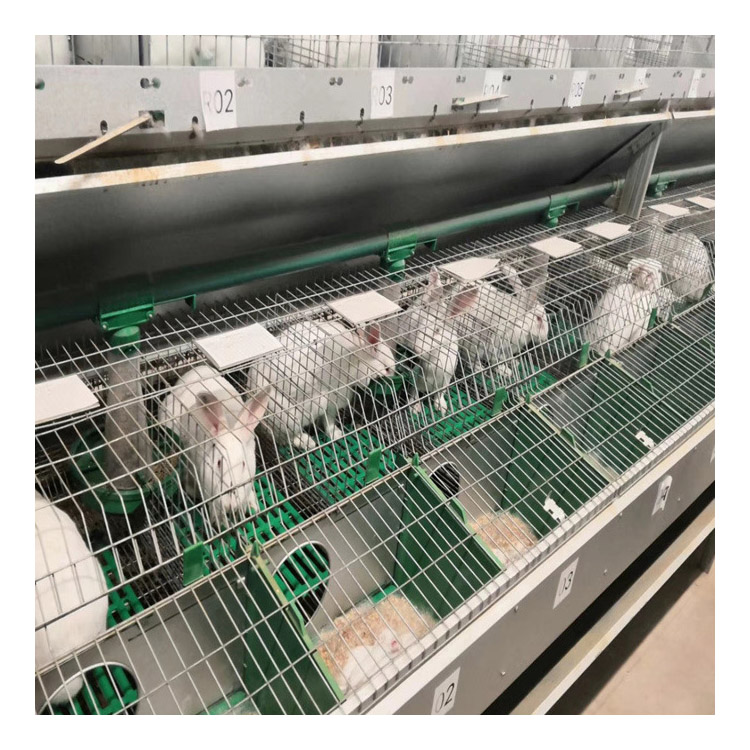 Wholesale Metal Rabbit Cages - Durable & Spacious Homes