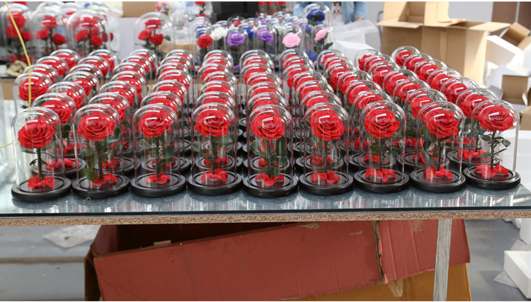 How to Choose Circus Roses: Buying Guide for Best Selection
