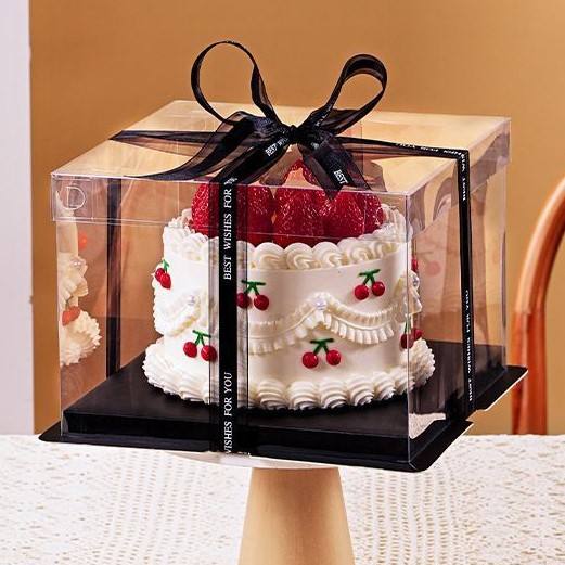 10 Inch Five Layer Transparent Plastic Clear Cake Box Cake Packaging ...