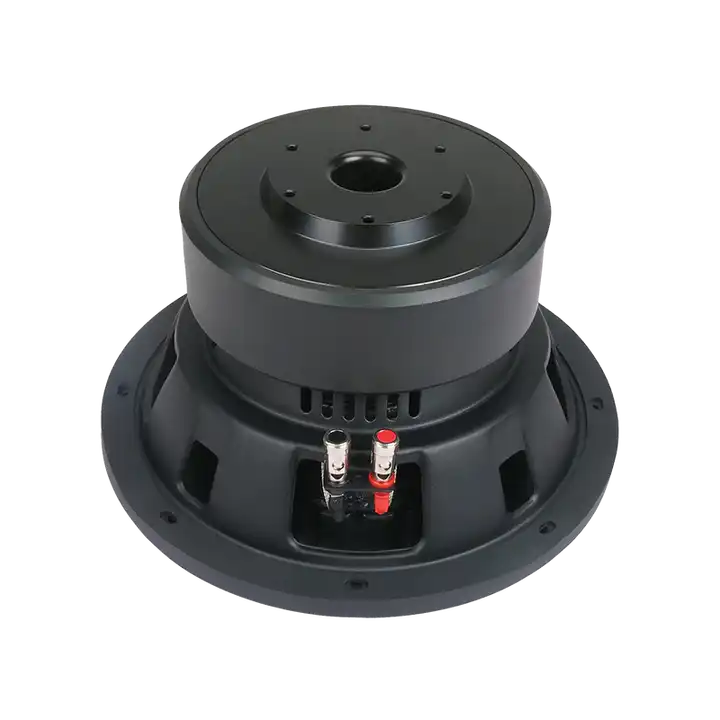 JLD 10 Inch Dual Coil Car Audio Subwoofer 600 Watts RMS with Steel ...