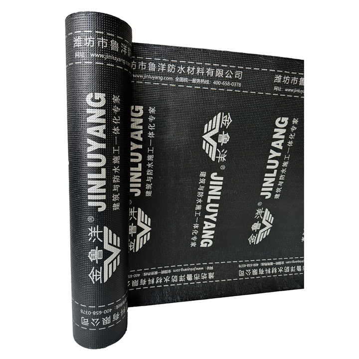 SBS APP Modified Bitumen Waterproof Membrane - Durable & Versatile