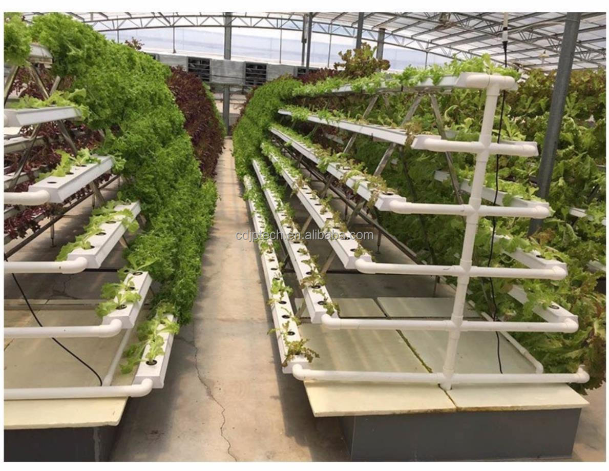 Advanced Greenhouse Climate Control Systems for Precision Farming