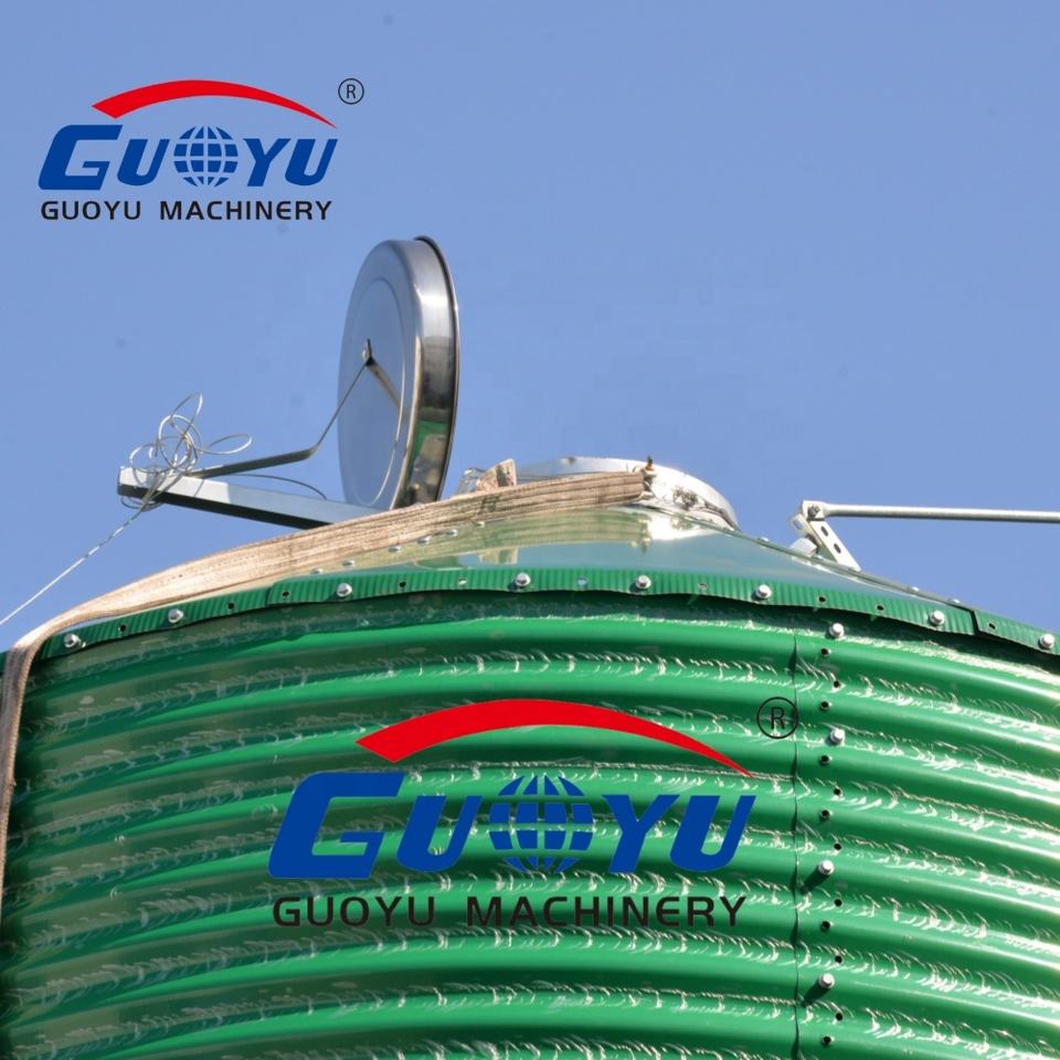Guoyu 14T Galvanized Farm Use Poultry Feed Silo with Slanted Outlet ...