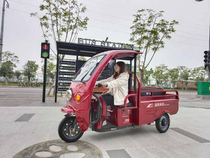 Sunsen 1000W Foldable 3-Wheeler Electric Cargo Tricycle for Adults 60v ...