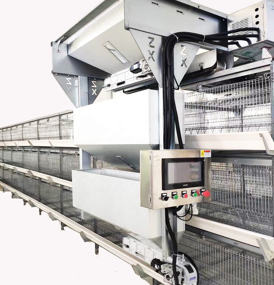 Automatic Layer Breeding Chicken Feed Machine Precision Feeding System ...