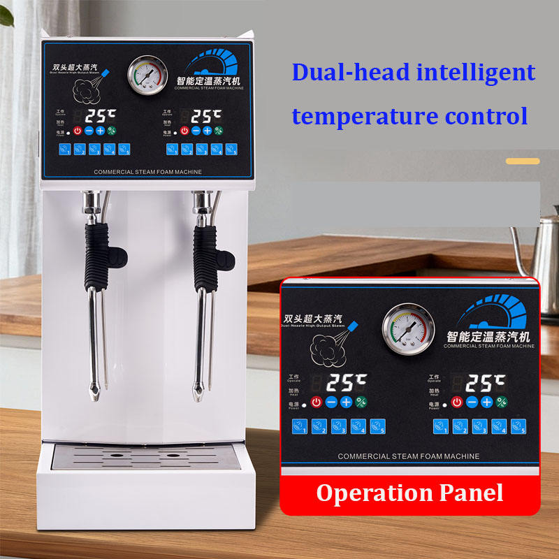 220V Electric 10L Steam Water Boiler Steam Boiling Machine Milk Foam ...