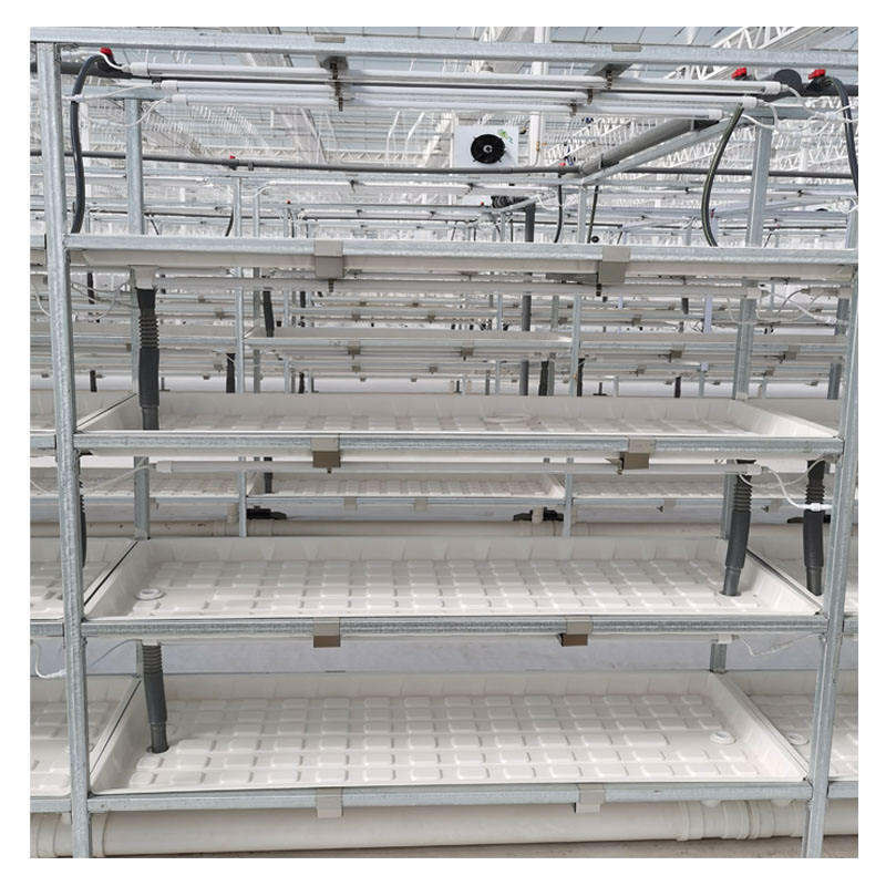 Multiple Layers System New Premium Seeding Bed Rolling Benches for ...
