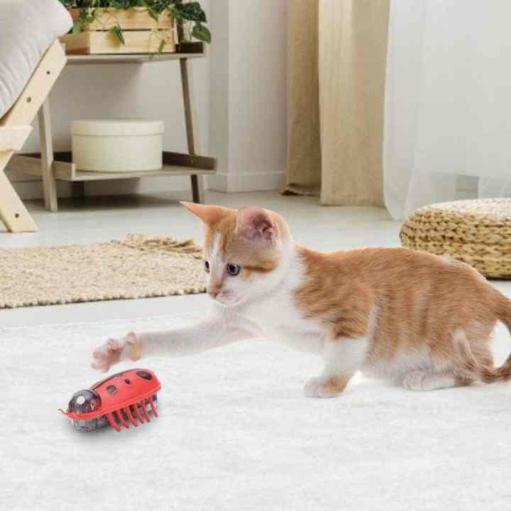 Plastic Durable Battery Mini Ladybug Worm Insect Mouse Interactive ...