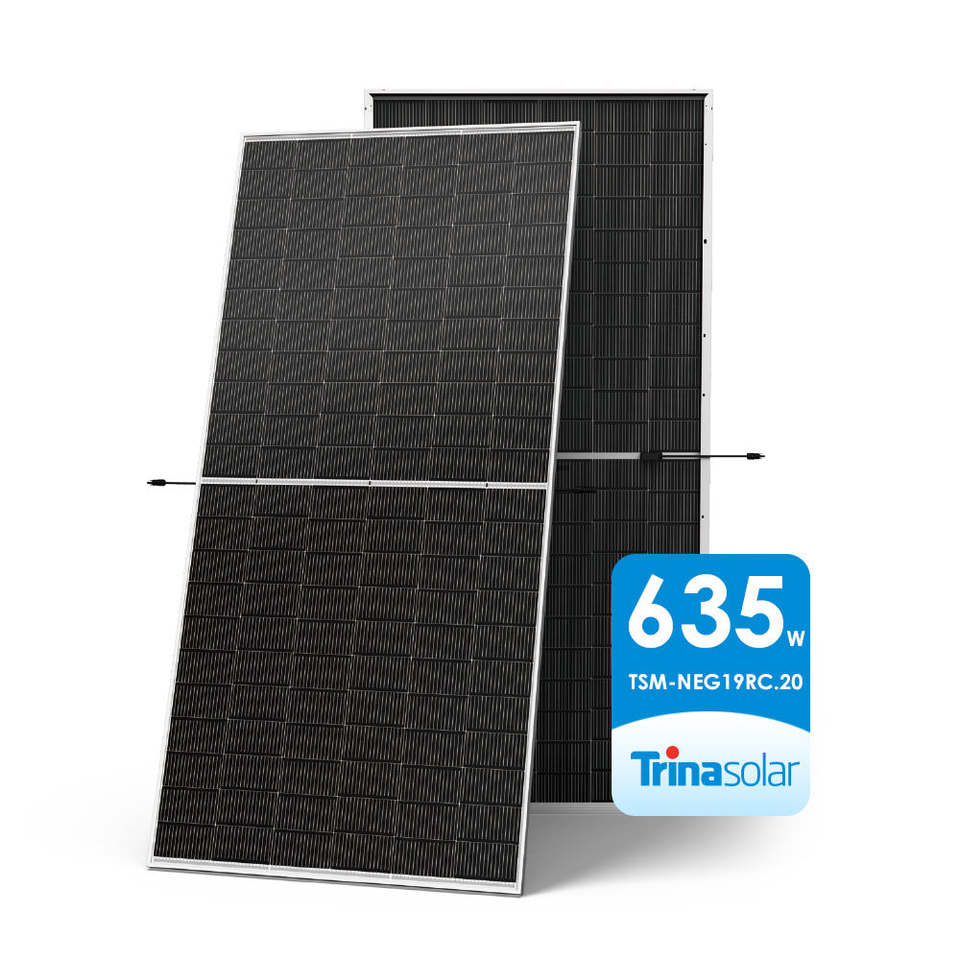 Trina Solar N-Type TOPCon Bifacial PV Module 620W 625W 630W 635W Solar ...