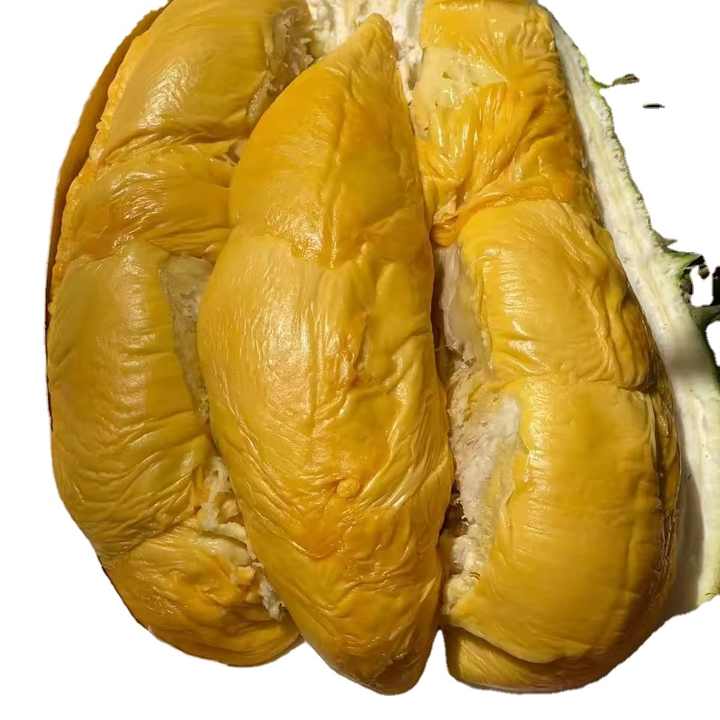 Premium D101 Durian Frozen Whole Fruit Top Malaysian Durian ...