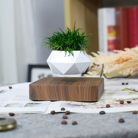 Magnetic Levitating Plant Pot Floating Plant Magnetic Levitation ...
