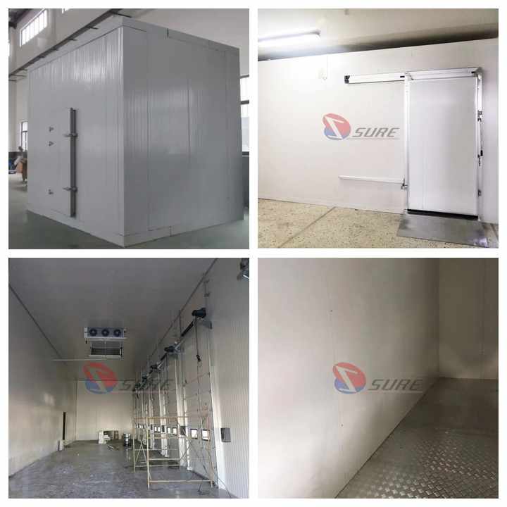 Best Quality Meat Cold Room,Seafood Cold Storage ,Freezer Cold Room for ...