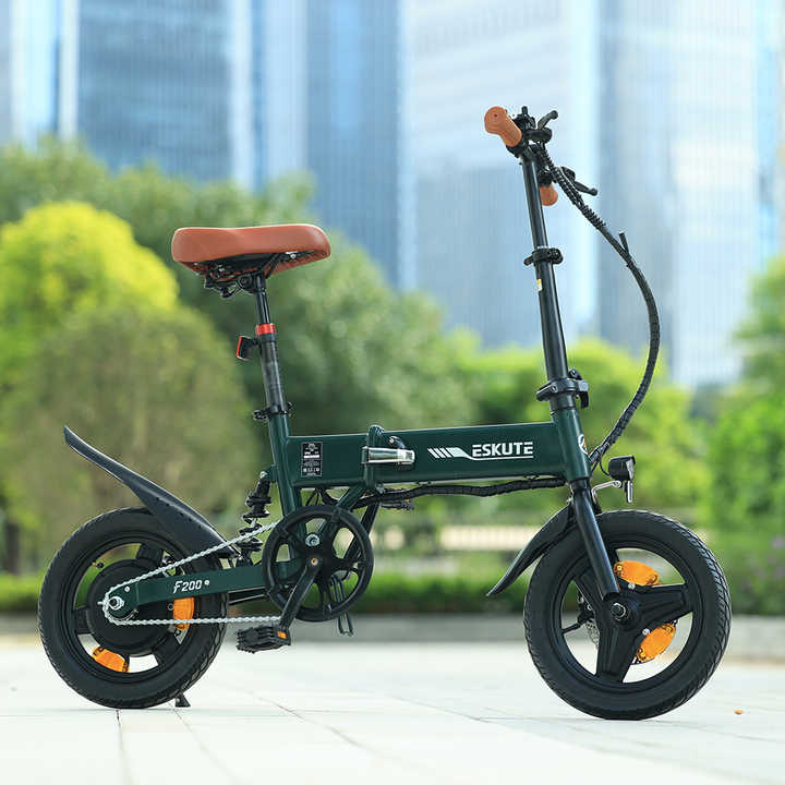 ESKUTE Customize Electric Foldable Bike 250W 36V 7.8ah 14-inch 1 Speed Folding Ebike Customized ...