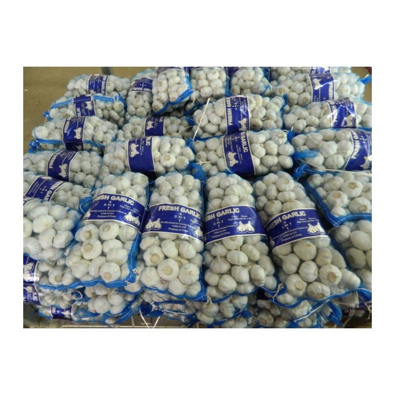 Wholesale New Fresh Garlic Supplier Normal White Garlic Manufacturer ...