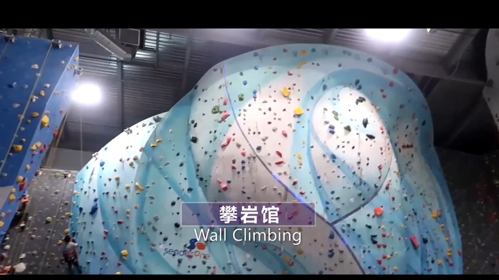 Factory Wall Mounted Climbing Holds Customized Rock Climbing Wall for ...
