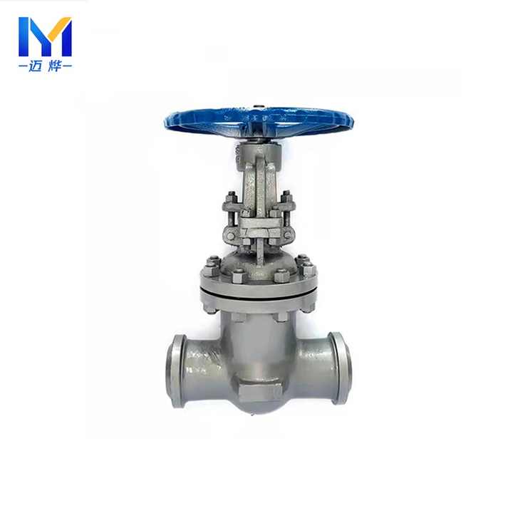 A105 Socket Weld Forged Gate Valve - High Pressure Solutions