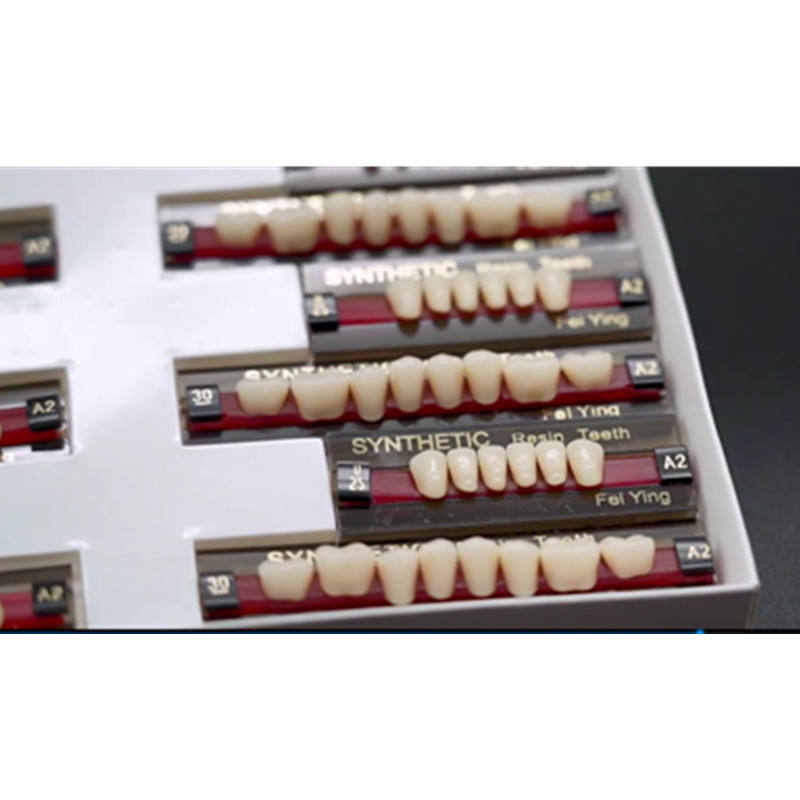 Feiying Dental Teeth Resin Temporary Resination False Acrylic Dentures ...