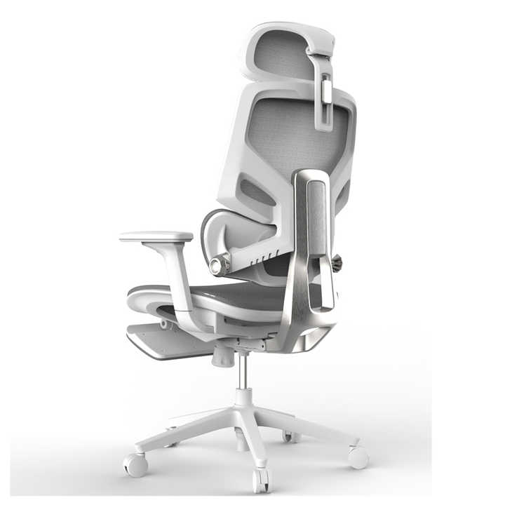 Ergonomic Office Chair with Metal Frame and Adjustable Backrest