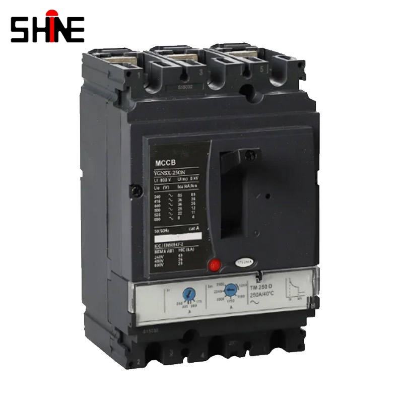 High Quality Chint Mccb Circuit Breaker 2 Pole 250A 125A 250V Smart ...