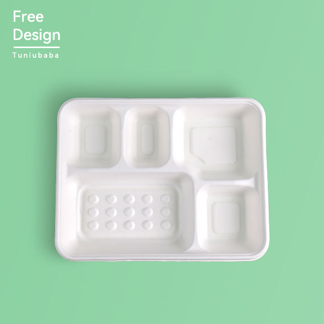 Multi-Compartment Food Tray Biodegradable Plate 6 Compartment ...