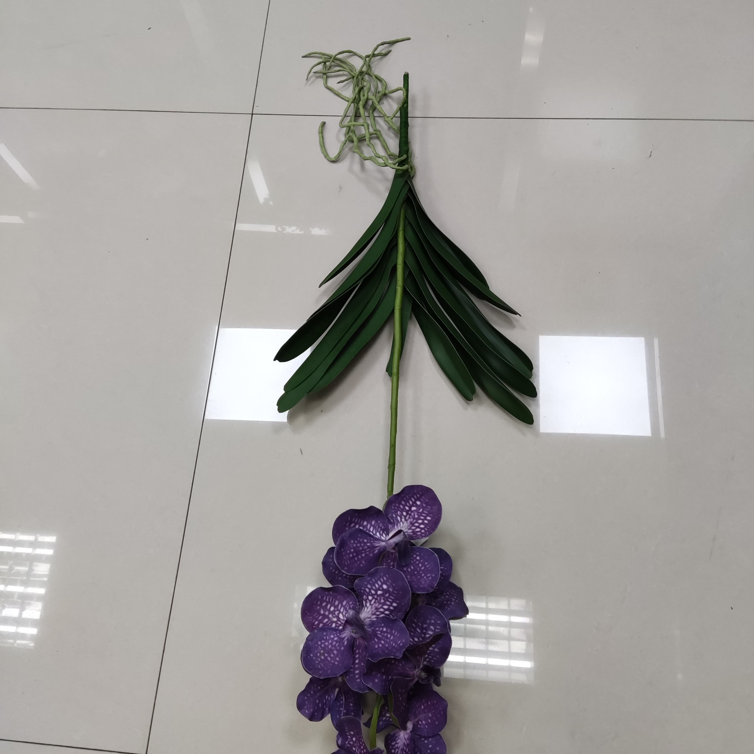 How to Choose the Best Orchid Pot for Vanda: A Complete Buying Guide