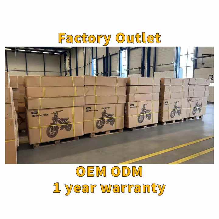 Zerogo R002 Electric Bike - 25km/h, Dual Suspension, 48v Motor