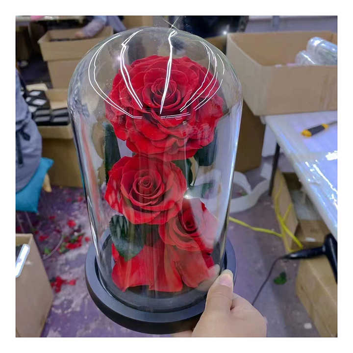 Forever Eternal Red Roses in Glass Dome Real Touch Preserved Roses for ...