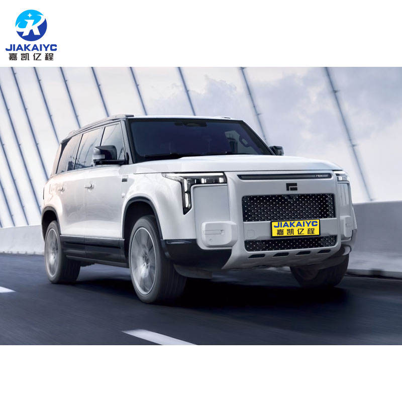 2026 Rox 01 ADAMAS 7 Seat Big Size Off Road Left Drive EV Luxury Extend ...