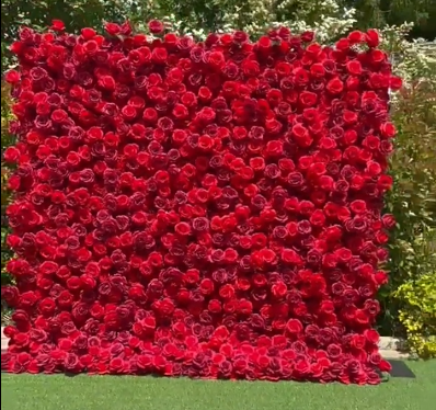 How to Choose the Best Ross Flower: A Complete Buying Guide
