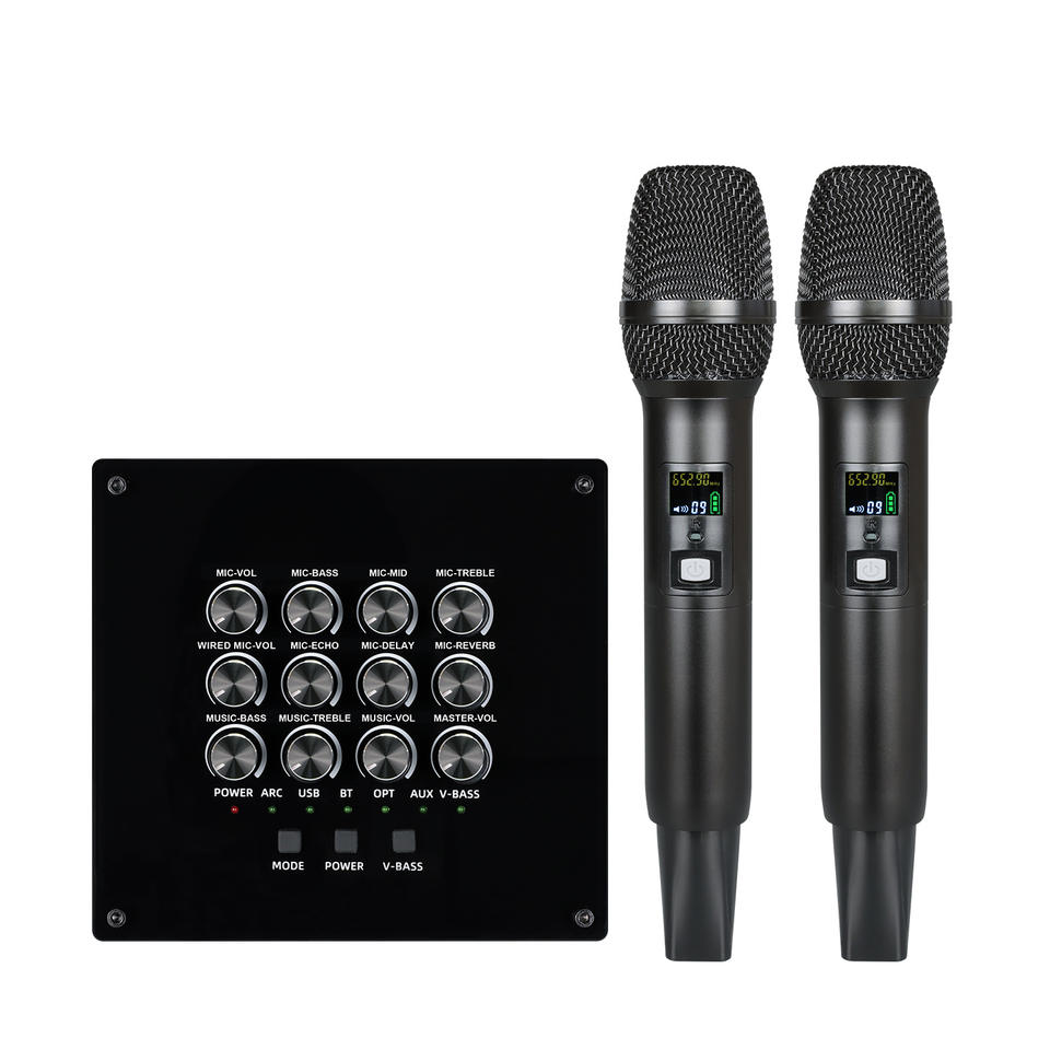 EQ Integrated Wireless Microphone System with Reverb for Karaoke Live ...