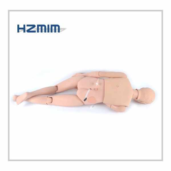 Nursing Model - Realistic Training Doll for Medical Science