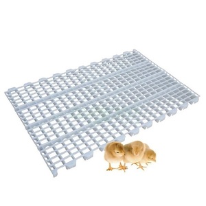 Buy Wholesale poultry plastic slats for chicken house For Livestock ...