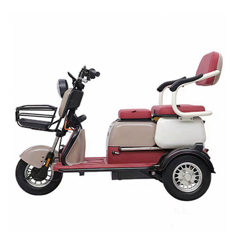 Electric Tricycle for Adult Three Wheels Electric Bicycle 48V 600W Fat ...