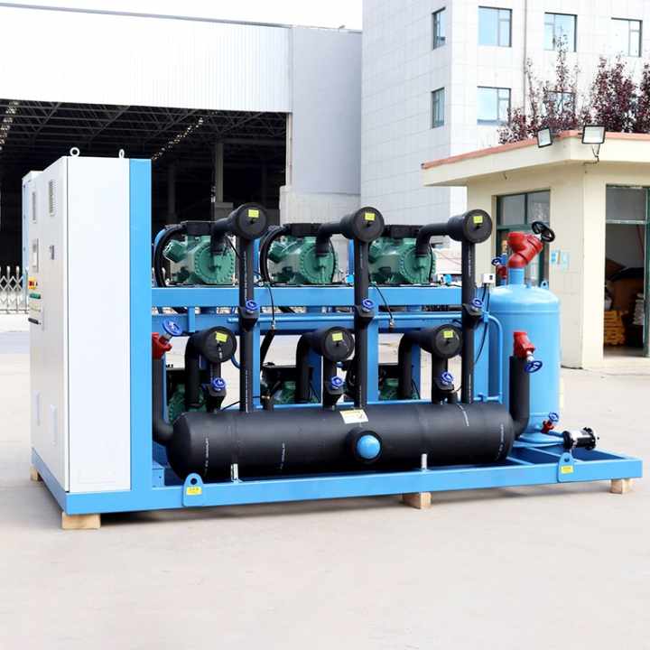 Bitzer Semi-hermetic Reciprocating Piston Compressor Units Freezer ...