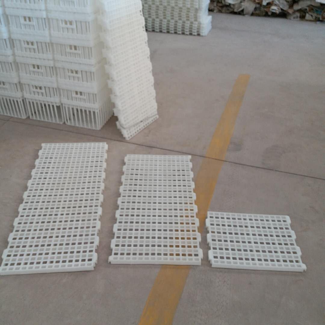 Poultry Broiler Slat Floor - Durable & Easy Cleaning