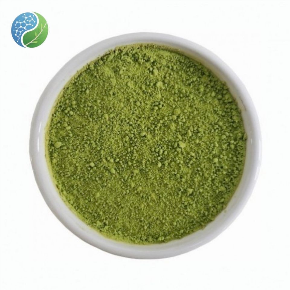 Organic Moringa Oleifera Leaf Extract Herbal Extract Food Grade Powder ...