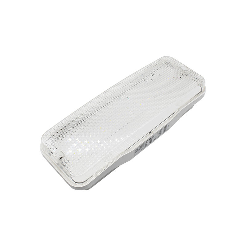 Civil Defence Approved Emergency Light with IP65 Degree of protection ...
